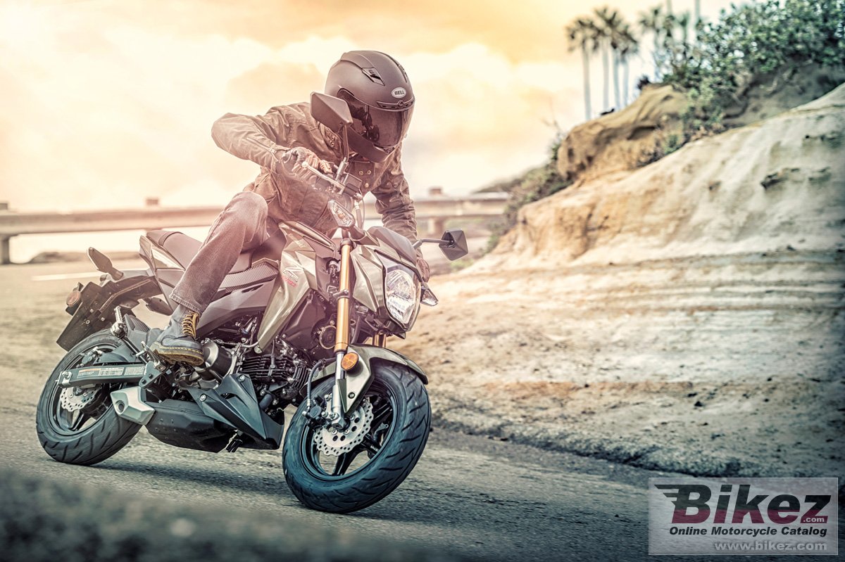 Kawasaki Z125 Pro poster